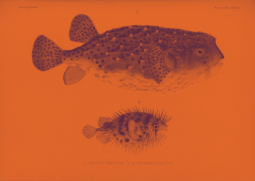 Ir Yût, the Deathsinger — Grimoire Card — Fishtar Collective — Destiny ...